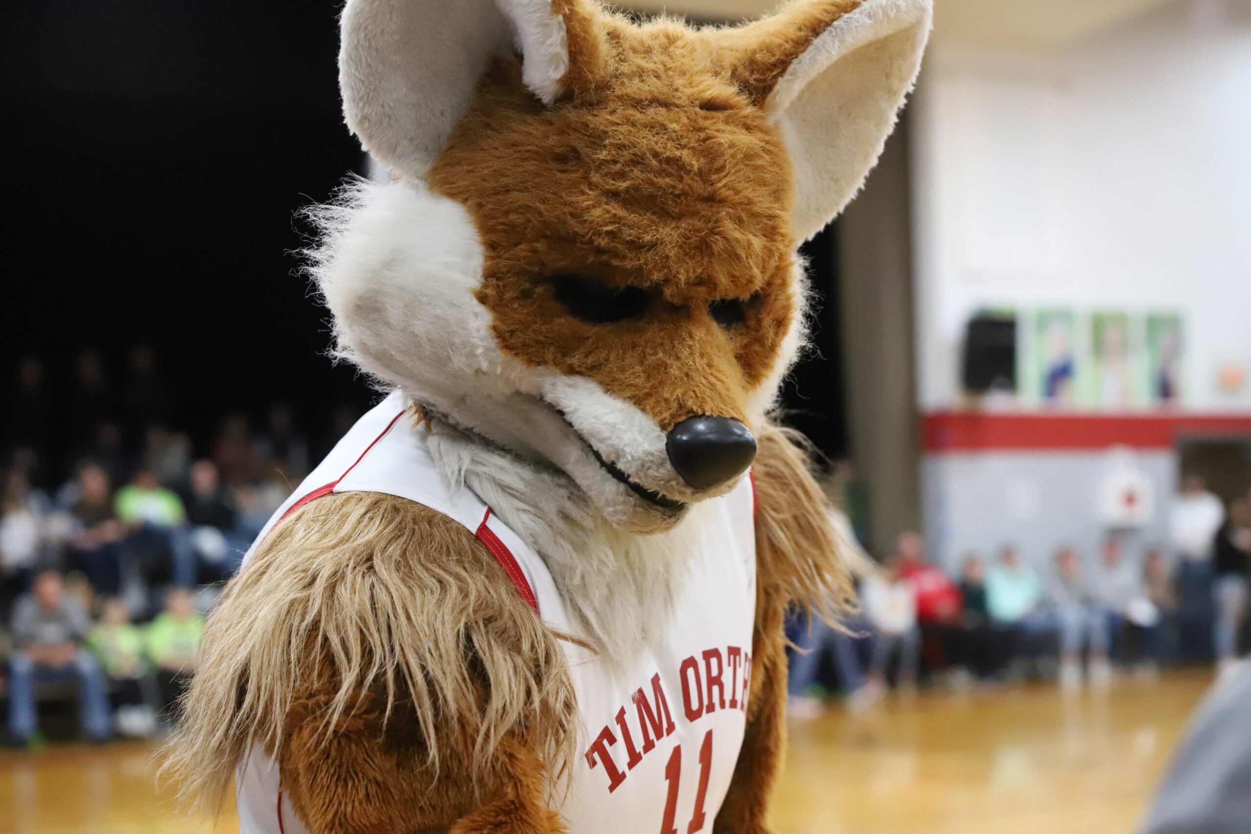 2026 TOMF Event Schedule Announced - Tim Orth Memorial Foundation